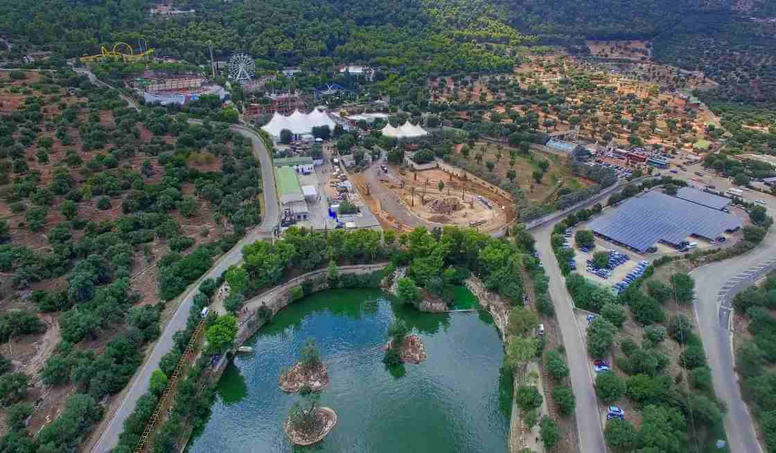43 - Zoosafari Fasano - Divertimento per tutta la famiglia | Tedi Tour 43 - Zoosafari Fasano - Divertimento per tutta la famiglia | Tedi Tour